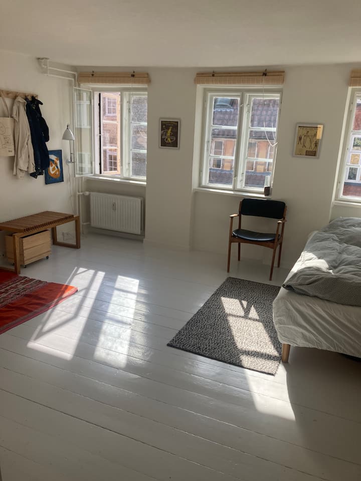 Historic Gem In Christianshavn - Copenhagen