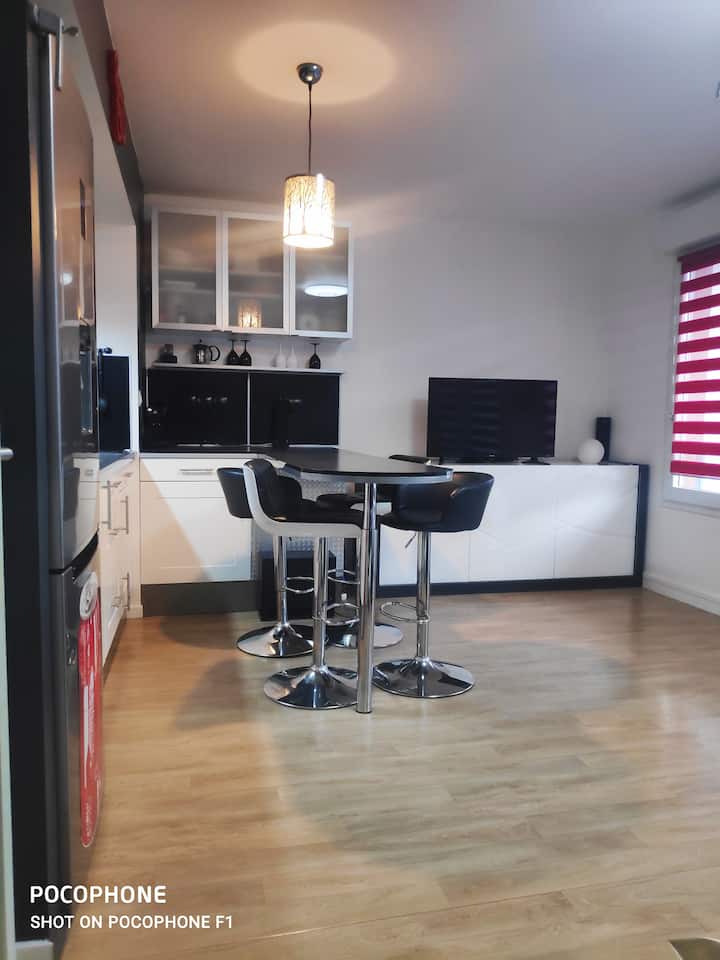 Appartement Proche De Paris- Jo - Seine-Saint-Denis