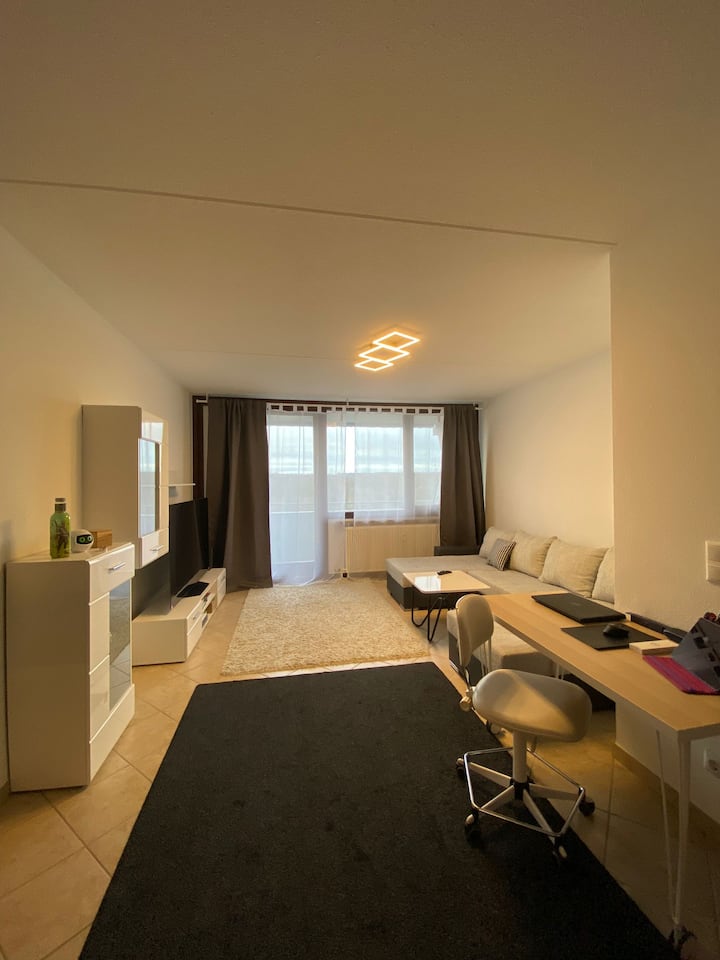 Gemütliche Wohnung Mit Balkon - Mainz