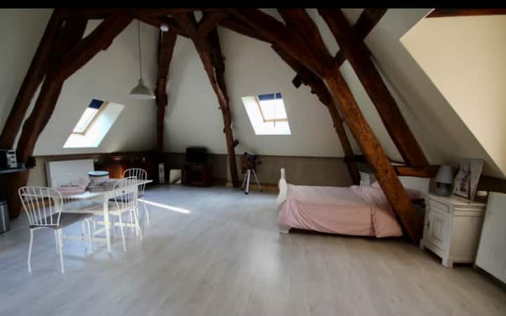 La Faïencerie Nevers Centre Calme Et Jardin - Nevers