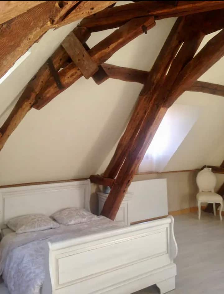 Coeur De Loire Centre Nevers Avec Jardin - Nevers