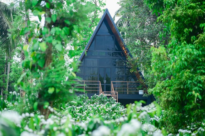 Wayanad Holiday Rentals & Homes - Kerala, India | Airbnb
