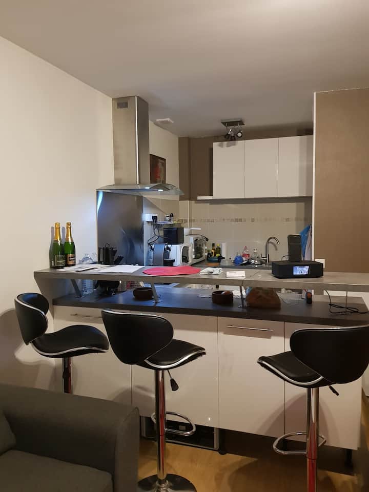 Appartement 45 M2 Proche Gare - Armentières