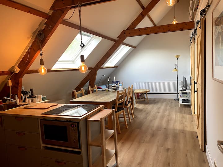 Zolderappartement In Een Vrijstaande Villa - Haarlem