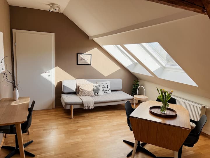 Stilvolles, Helles City-apartment - グラーツ
