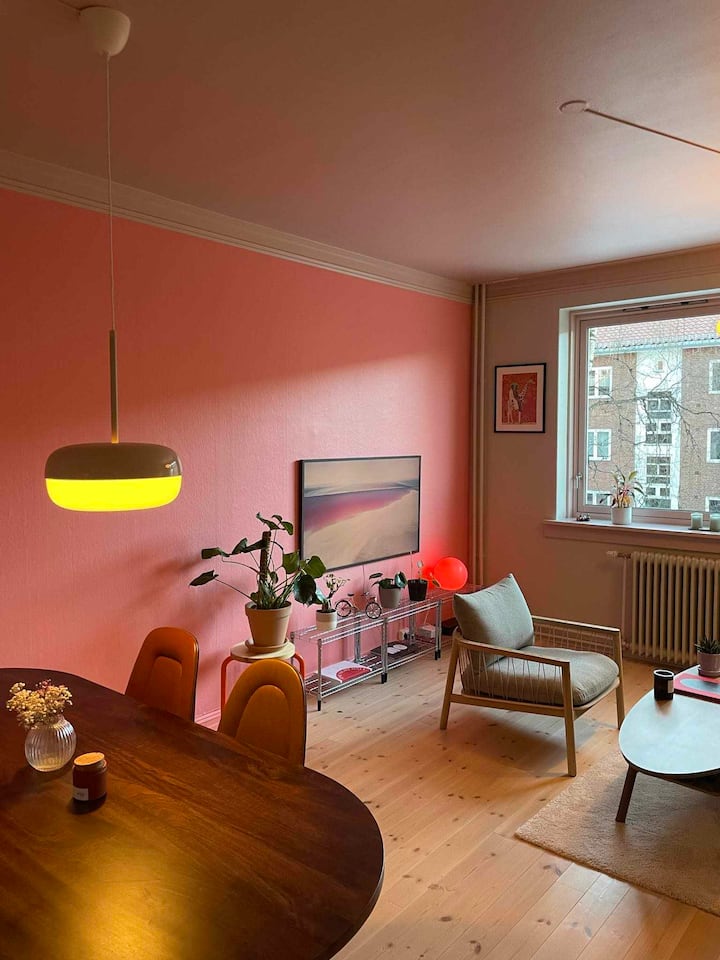 Pen Leilighet Ved Botanisk Hage - Oslo