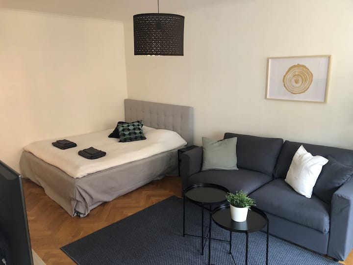 Spacious Södermalm Apartment - Stockholm