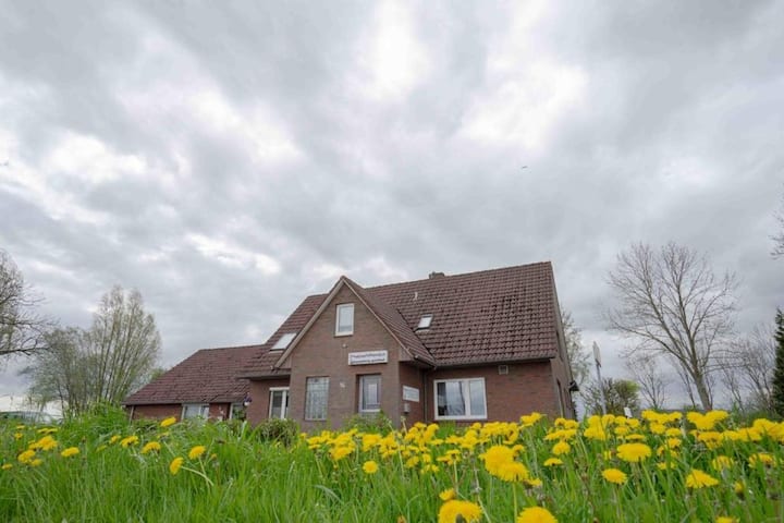 Schienfatt Am Dornumersieler Tief - Langeoog