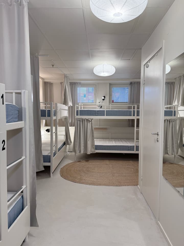 Shared 8 Bed Mixed Dorm Room - Tukholma