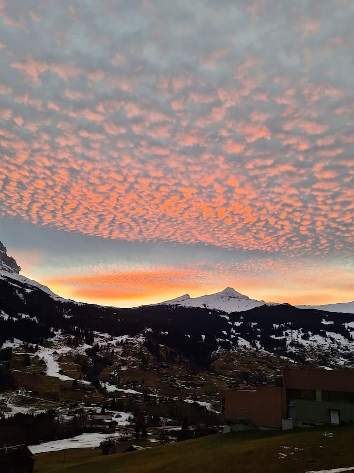 Central Park Apartment - Grindelwald