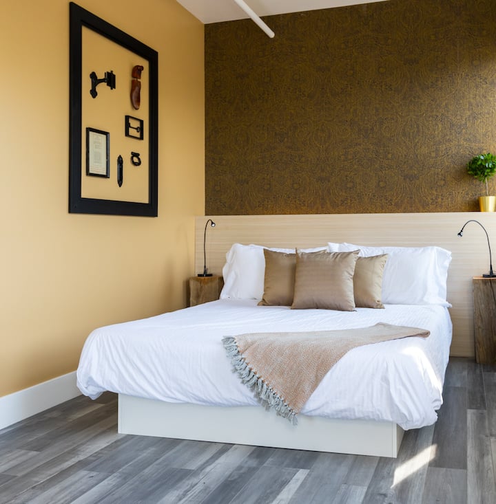 Highlands 1 - A Spaciously Beautiful Studio - Edmonton