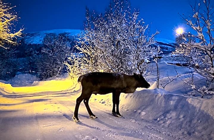 Airport 11min | Downtown 16min | Epic Surroundings - Norvegia