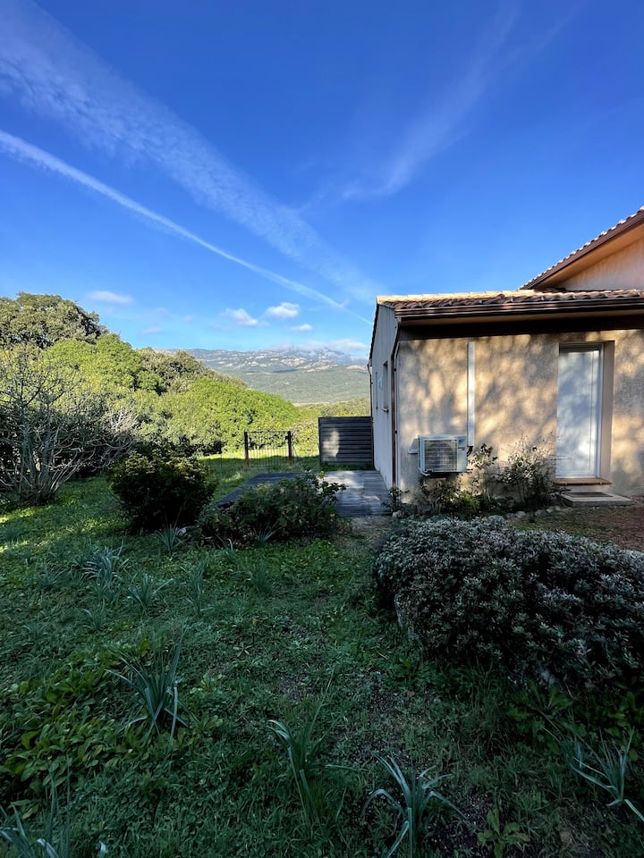 Studio Figari - Figari