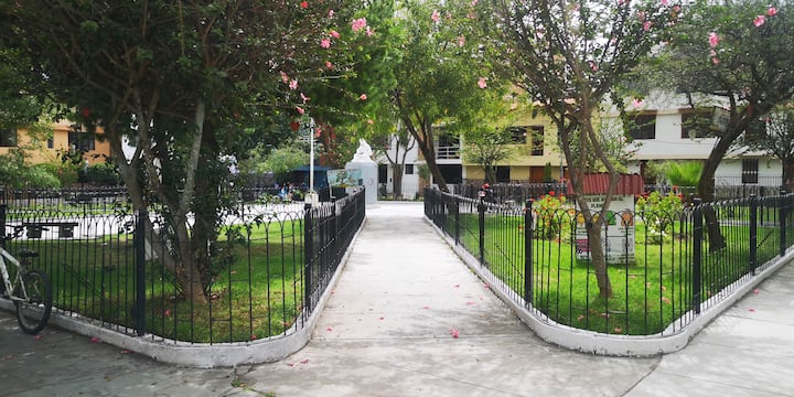 Casa En Parque Tranquilo. Alquilamos Casa Completa - Cajamarca