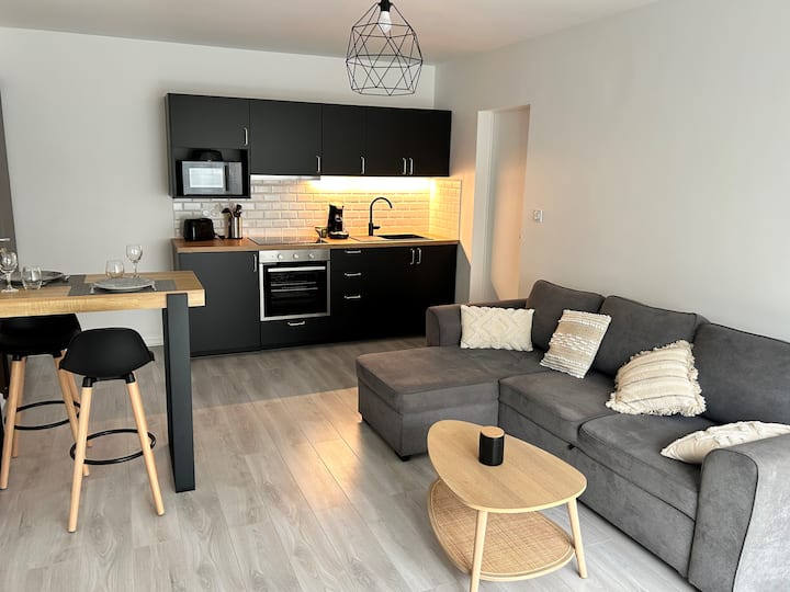 Appartement Cosy | Parking Privé - ibis Styles Nancy Laxou
