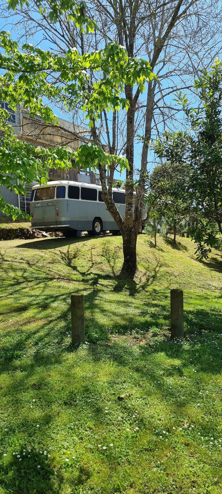 Bus At The Beach - Whangamatā