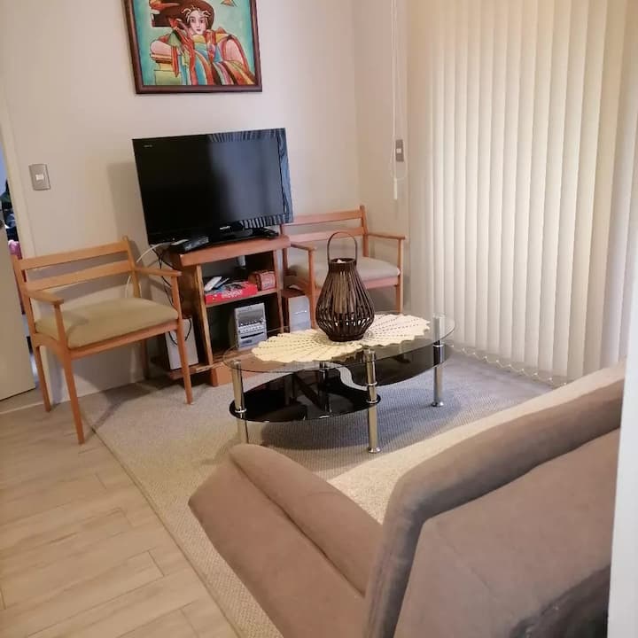 Departamento En Pucón, Camino Al Volcán - Pucon