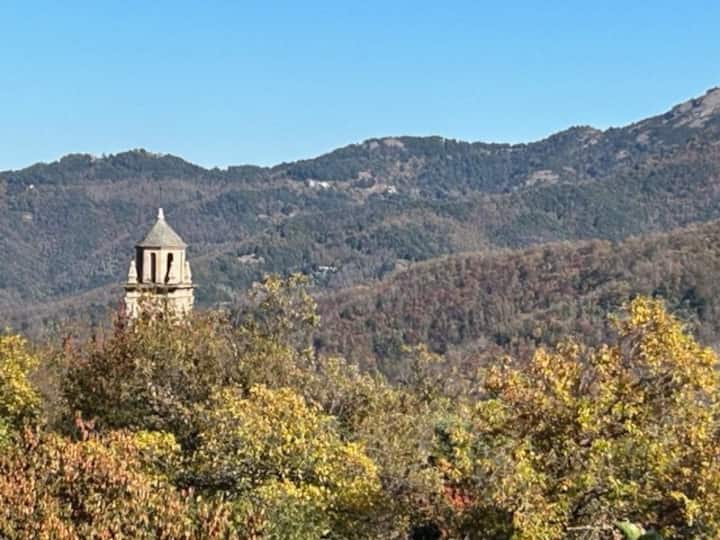 Maison De Village Au Coeur De La Castagniccia - Corsica