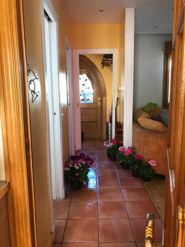 Sanfermines, Casa Completa. - Navarre