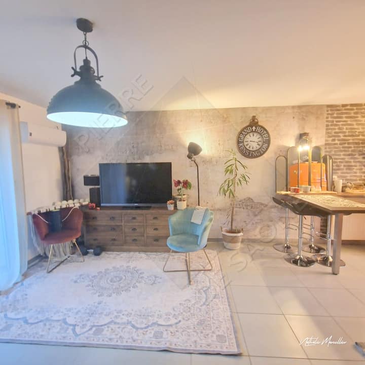 Chaleureux Appartement - Soucieu-en-Jarrest