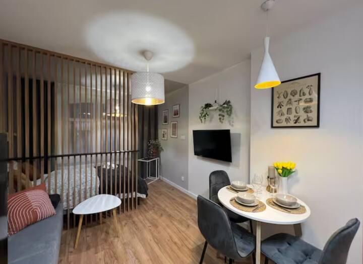 K18ab_przestronny Apartament Z 2 łAzienkami - Katowice
