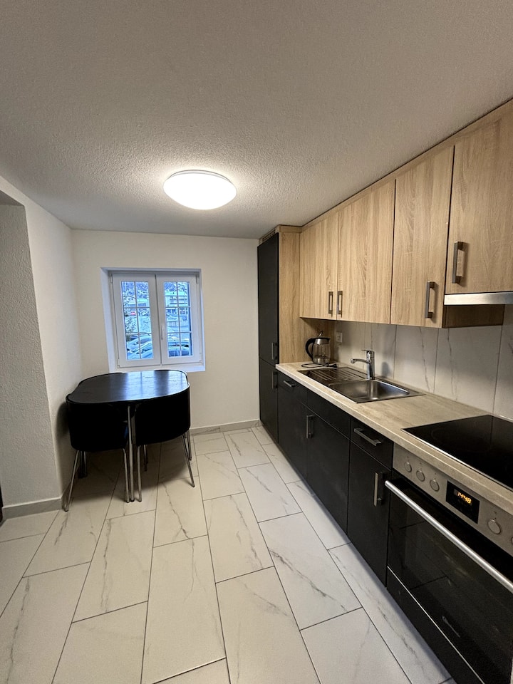 Ski Renovated Apartment - Pany