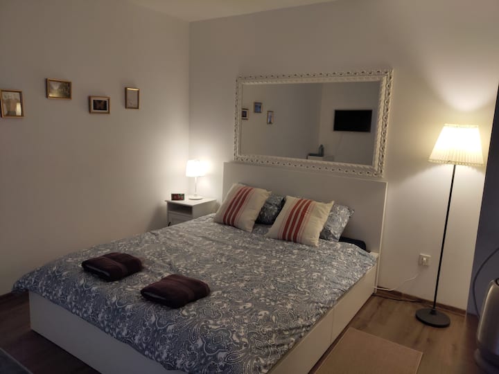 Cozy Flat In Riga - Riga