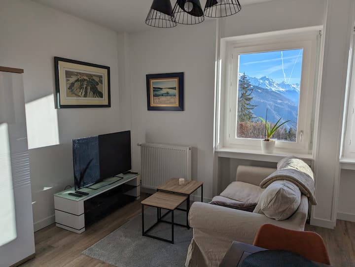 T3 Ensoleillé, Vue Chaîne Du Mont Blanc, 50m2 - Les Houches
