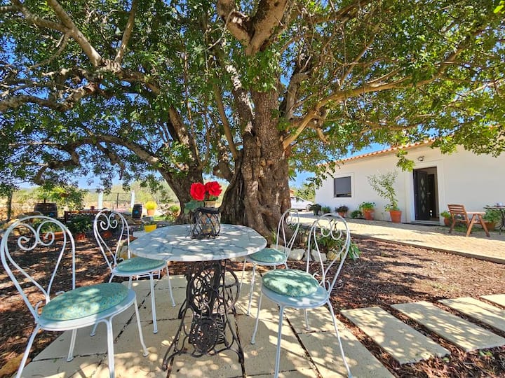 Alportel Cabin Relax - Algarve