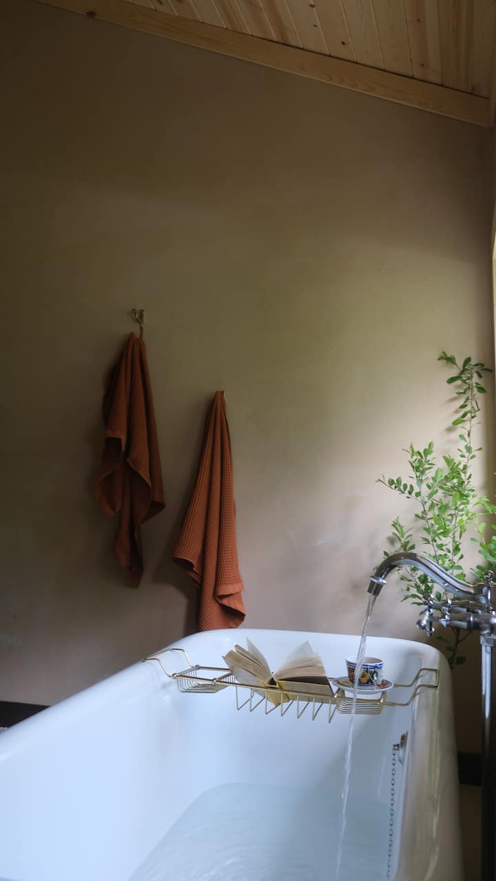 Huge Soaking Tub & Wood Sauna | Close To Ski Mtn - Idaho