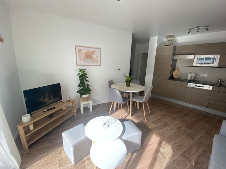 Lovely Flat - Meaux