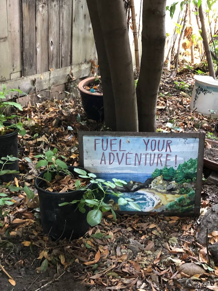 Ecofriendly 2 Bedroom Victorian & Lush Garden - Berkeley, CA