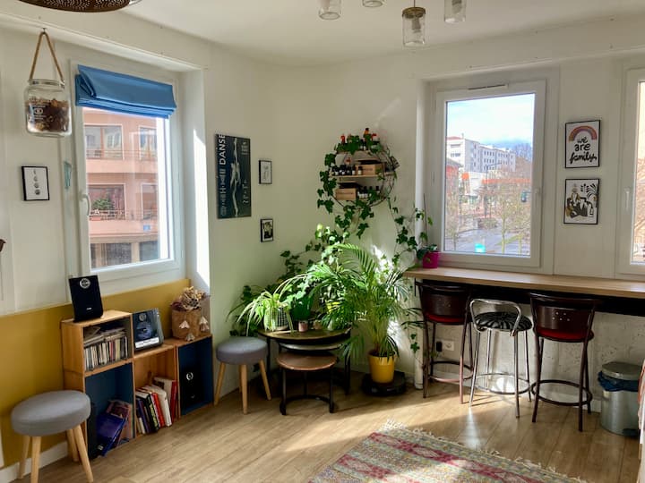 Appartement Hyper Centre Annecy - Annecy-le-Vieux