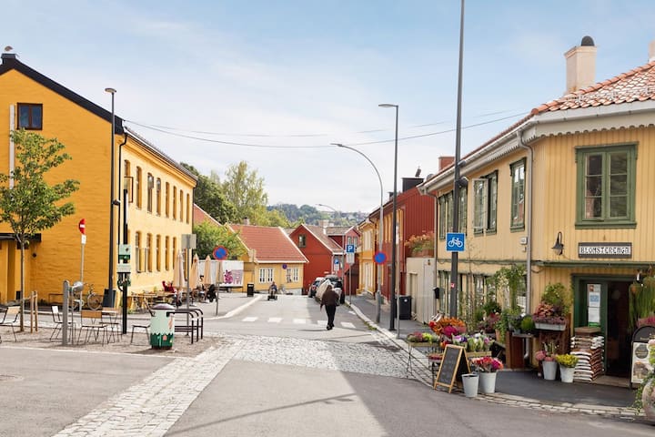 Oslo's Coziest Area -Family Friendly, Amazing View - Oslo