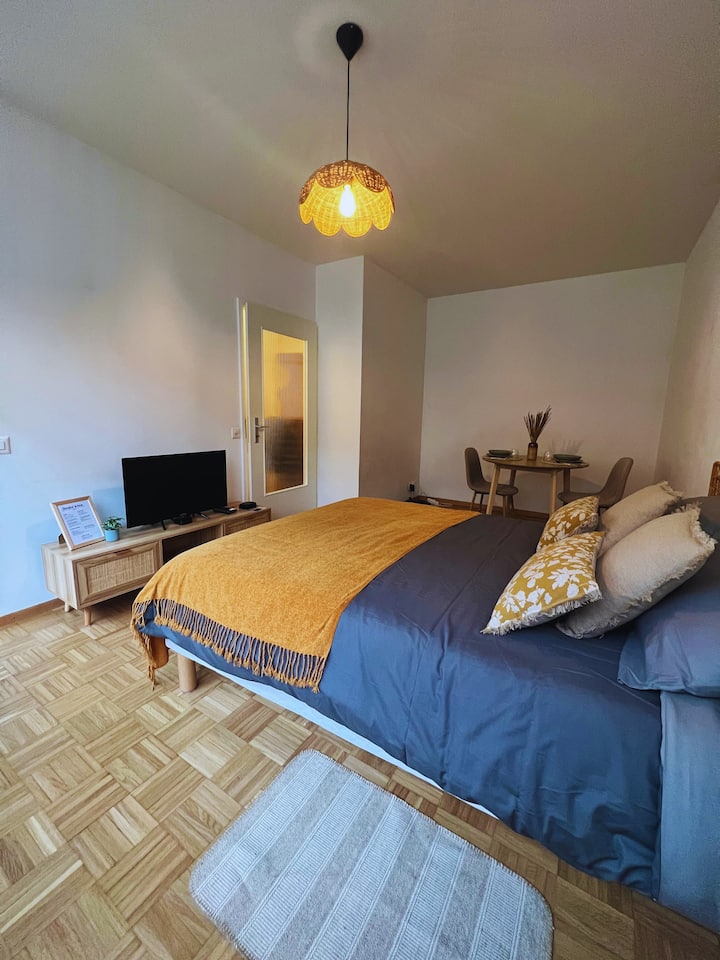 Apartment Next To Cornavin/lake - Geneva