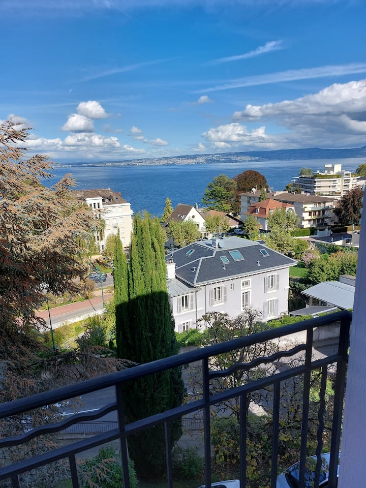 Le Mirabeau - Vue Dégagée Sur Lac - Évian-les-Bains