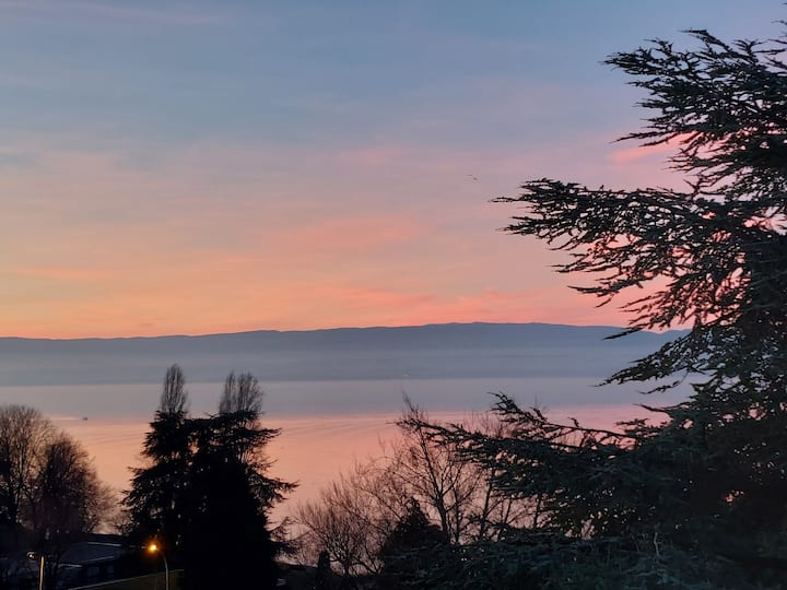 Le Mirabeau - Vue Dégagée Sur Lac - Évian-les-Bains