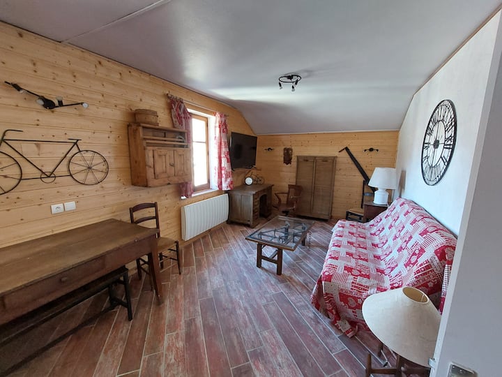 Appartement Type Savoyard - Les Karellis