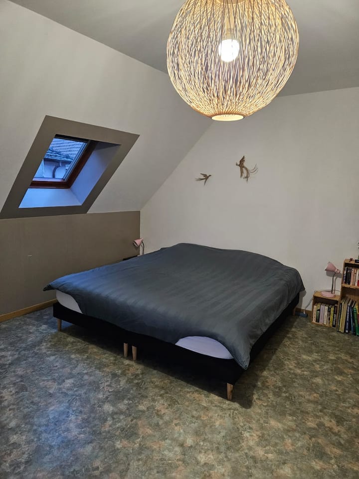 Chambre Vignoble Proche Colmar - Eguisheim