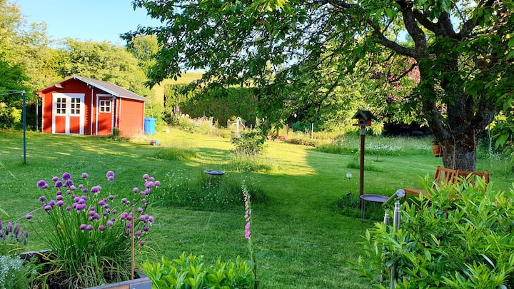 Ferienhaus Mit Sauna Im Vogelsberg - Herbstein