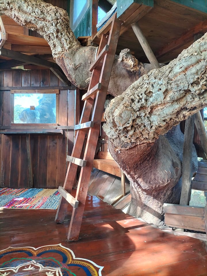 Casa Na áRvore - Odemira