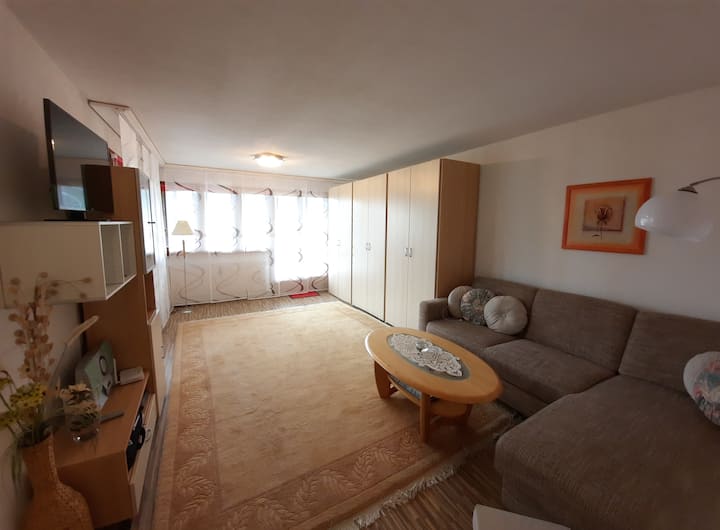 Studio Mit Blick Auf Berge U.tal - Ernen