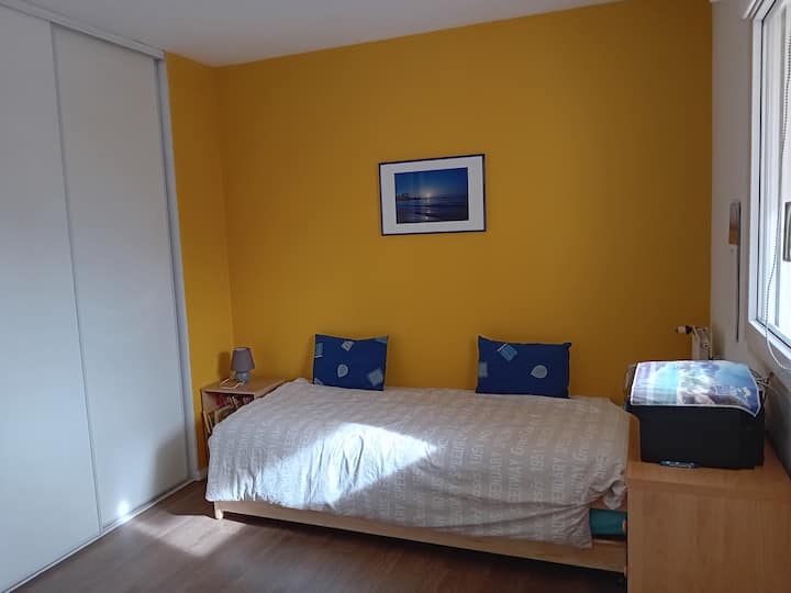 2 Chambres Dans Appartement Tout En Couleurs - ポー