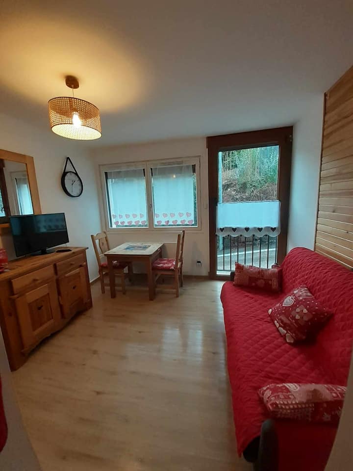 Agréable Studio Plein Centre - ibis La Bresse Gérardmer