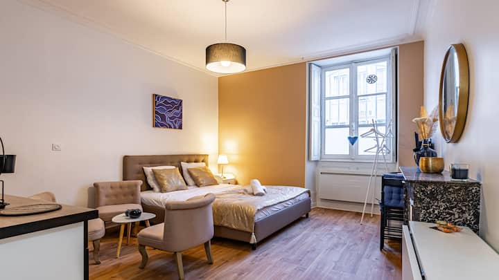 « Le Refuge » - Confort Et Central - Dijon