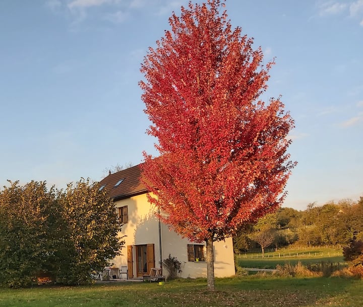Maison Au Calme - Lac de Paladru