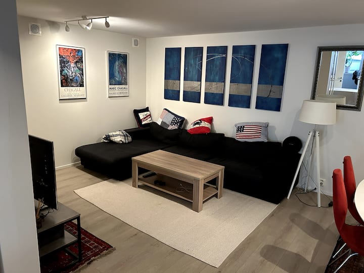 Romslig Leilighet Med Ett Soverom - Oslo
