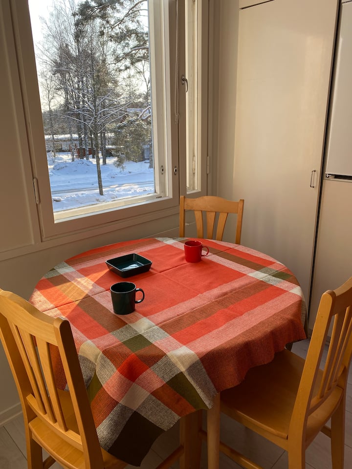 Siisti Yksiö Palveluiden ääRellä - Imatra