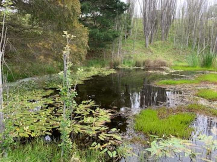 Fairview. Original 1870 Homstead In Inman Valley. - Normanville