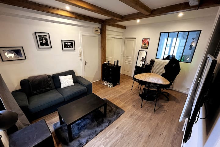 L’appartement De Théo - Tours